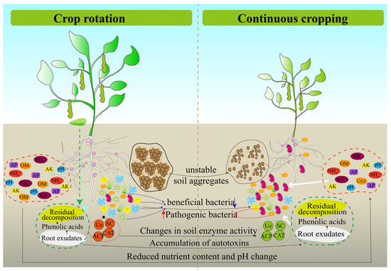Mechanisms and Mitigation Strategies for the Occurrence of Continuous ...