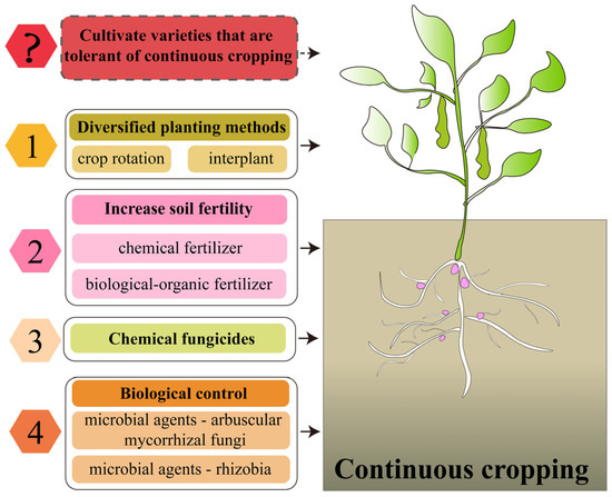 Mechanisms and Mitigation Strategies for the Occurrence of Continuous Cropping Obstacles of ...