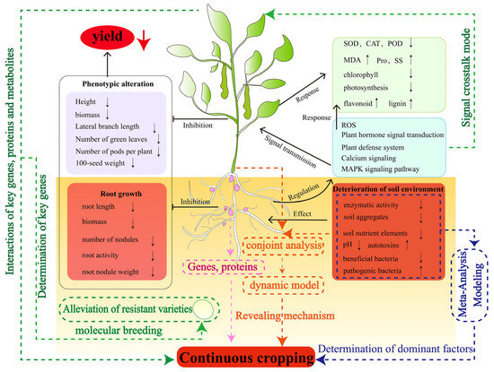 Mechanisms and Mitigation Strategies for the Occurrence of Continuous Cropping Obstacles of ...