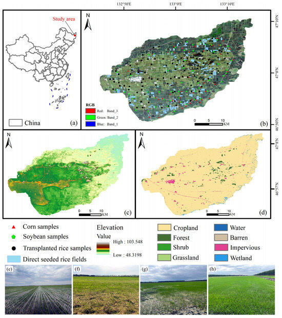 Early Mapping Method for Different Planting Types of Rice Based on ...