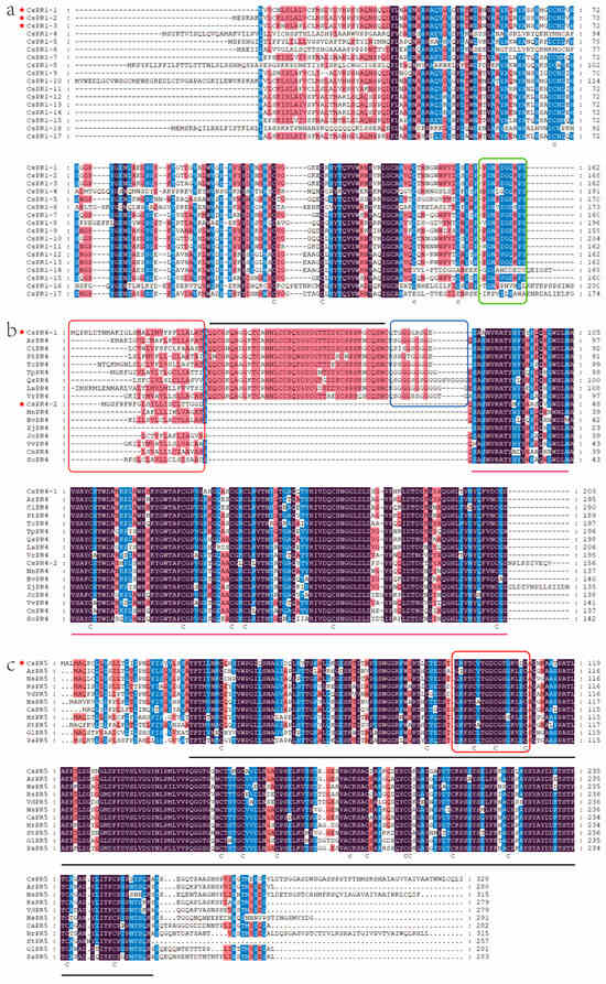 Agronomy | Free Full-Text | Identification and Functional Analysis of ...