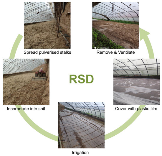Enhancing Soil Aggregation and Organic Carbon Retention in Greenhouse ...