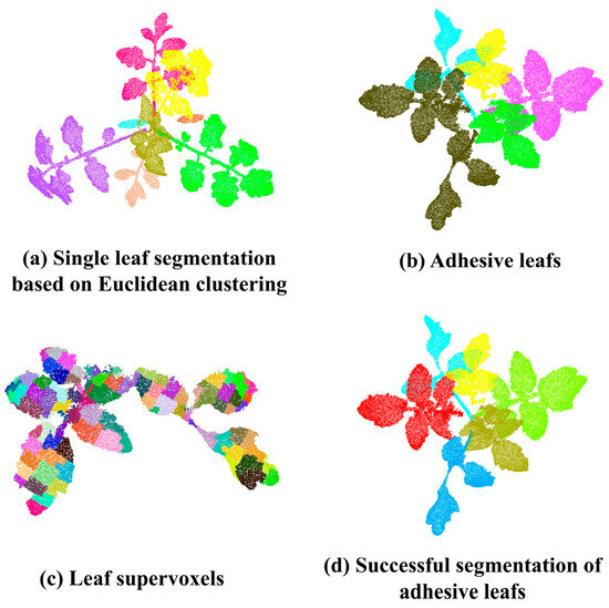 A Method for Tomato Plant Stem and Leaf Segmentation and Phenotypic Extraction Based on Skeleton ...