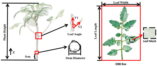A Method for Tomato Plant Stem and Leaf Segmentation and Phenotypic ...