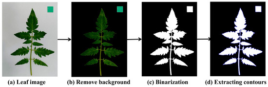 A Method for Tomato Plant Stem and Leaf Segmentation and Phenotypic ...