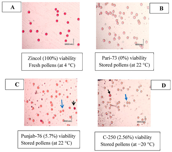 Optimizing Wheat Pollen Preservation for Enhanced Viability and In ...
