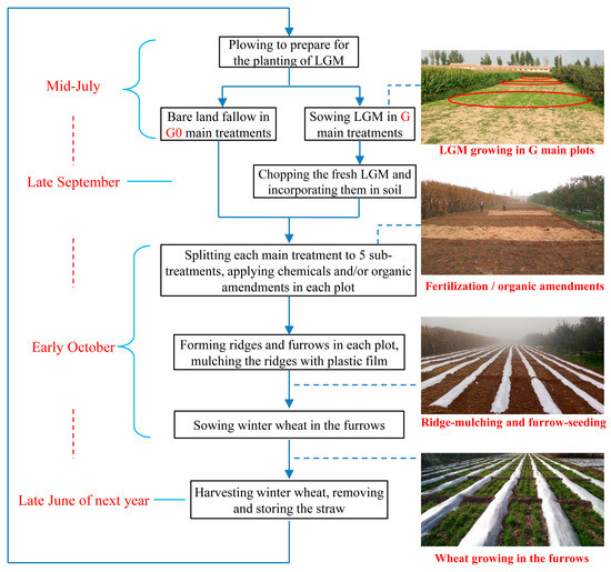 Beneficial Effects on Winter Wheat Production of the Application of ...