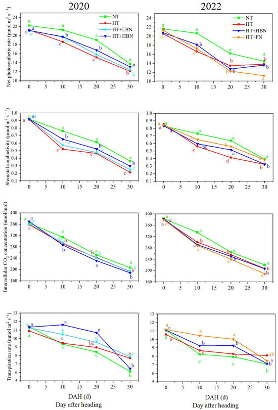 Influence of Nitrogen Applications during Grain-Filling Stage on Rice ...