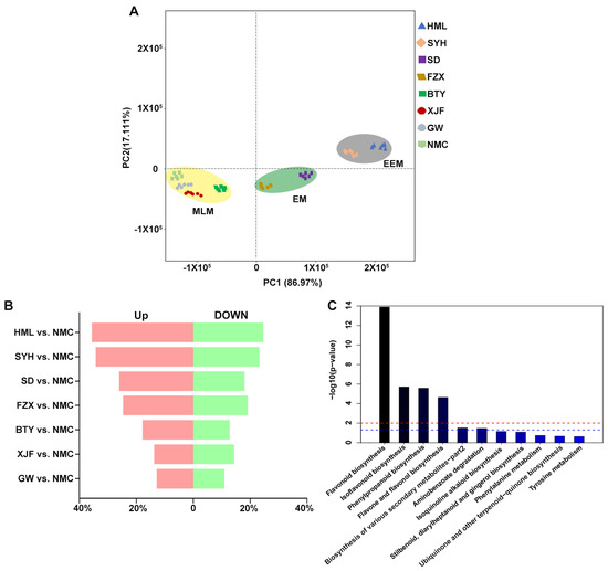 Metabolome and Transcriptome Analysis Provide Insights into Flower Bud ...