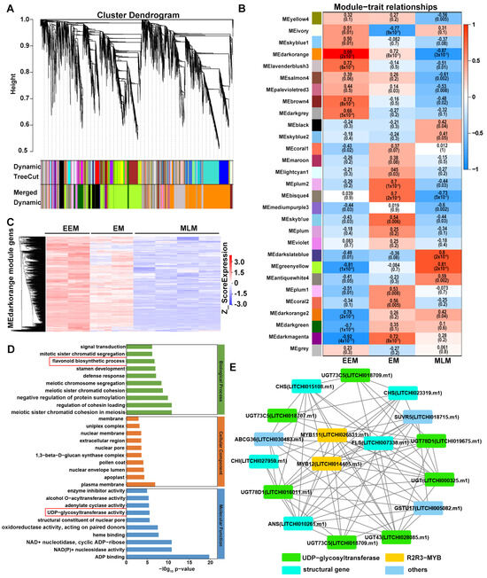 Metabolome and Transcriptome Analysis Provide Insights into Flower Bud ...