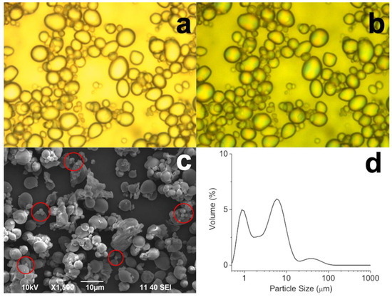 Agronomy | Free Full-Text | Characterization of Starch from Jinicuil ...
