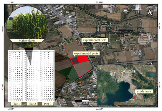 Comparing Spatial Sampling Designs for Estimating Effectively Maize ...