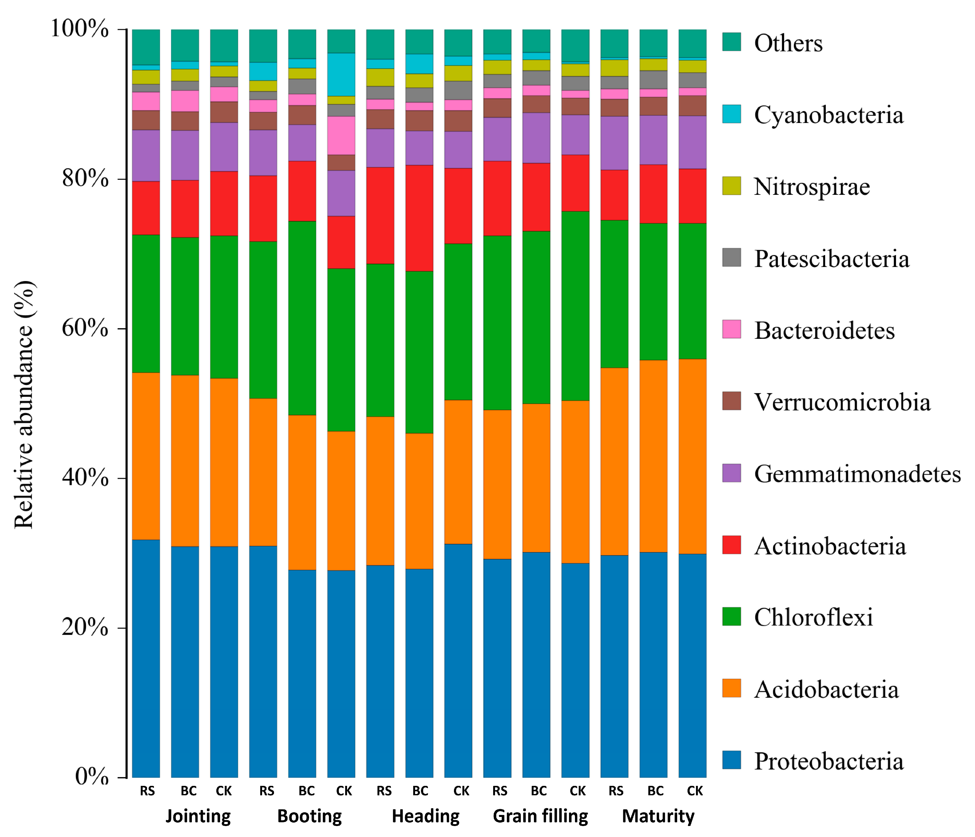 Straw and Biochar Application Alters the Structure of Rhizosphere ...
