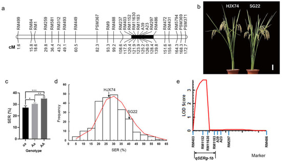 Fine-Mapping and Candidate Gene Analysis of qSERg-1b from O ...