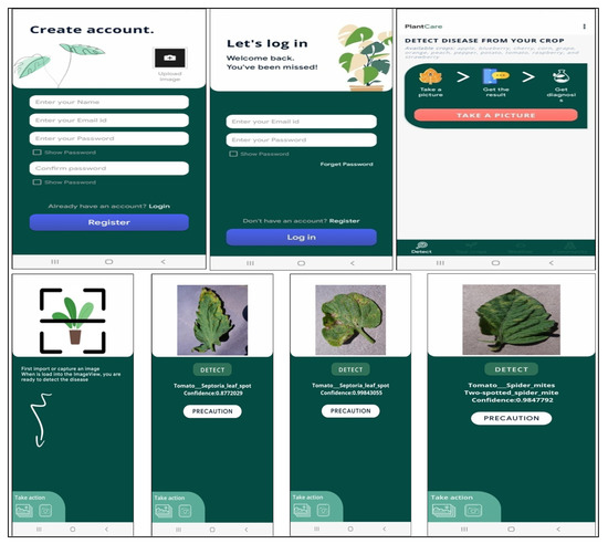 ViT-SmartAgri: Vision Transformer and Smartphone-Based Plant Disease ...