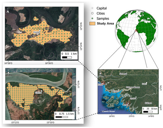 Moving toward the Biophysical Characterization of the Mangrove Swamp ...