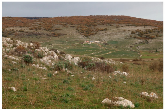 Revitalization Potential of Marginal Areas for Sustainable Rural ...