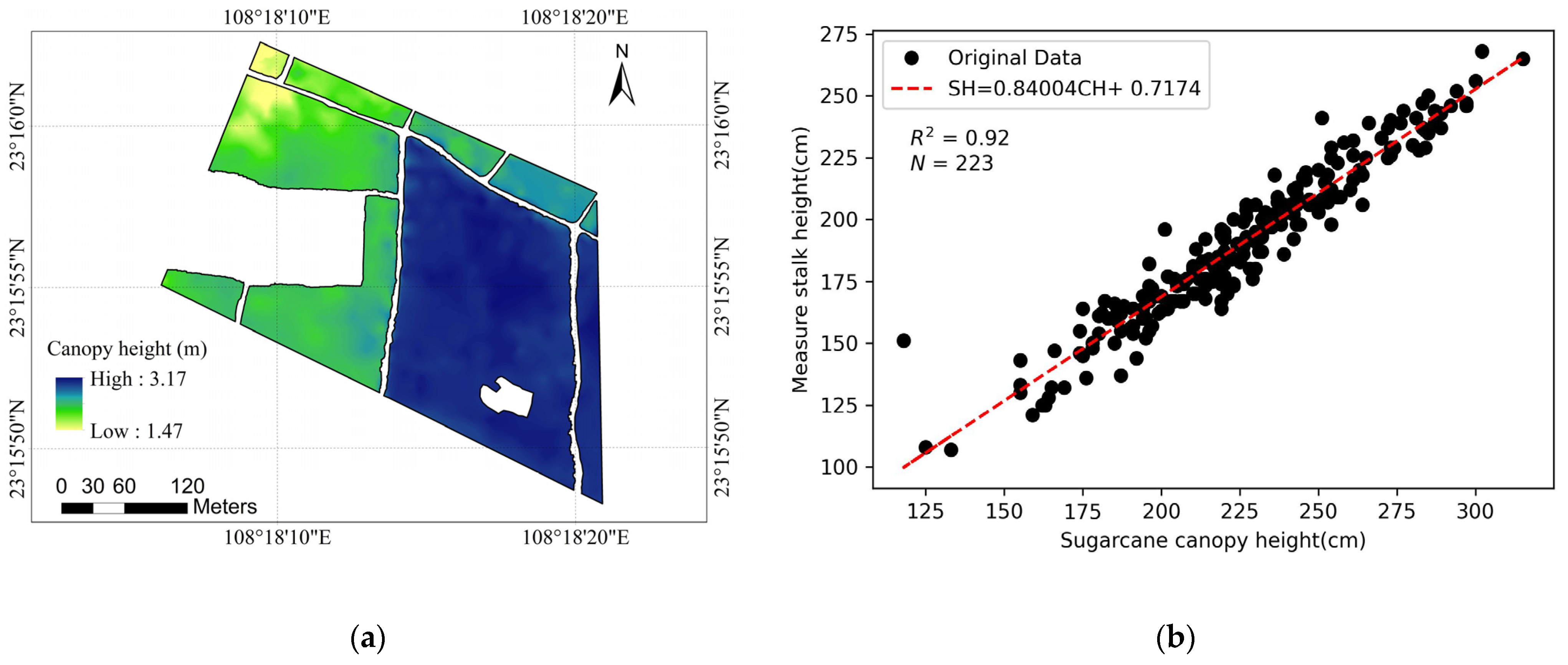 Precise Estimation of Sugarcane Yield at Field Scale with Allometric Variables Retrieved from ...