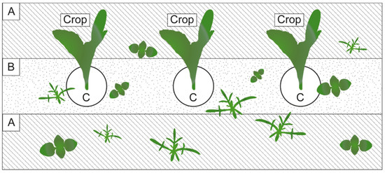 Weed Management Methods for Herbaceous Field Crops: A Review