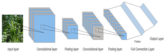Agronomy | Free Full-Text | Advancements of UAV and Deep Learning ...