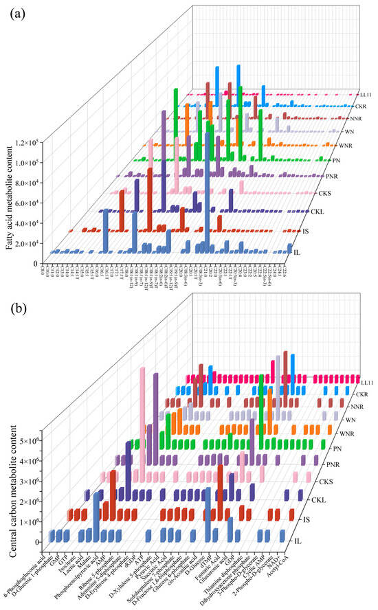 Differences in Fatty Acid and Central Carbon Metabolite Distribution ...
