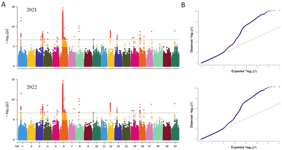 Genome-Wide Association Study on Candidate Genes Associated with ...