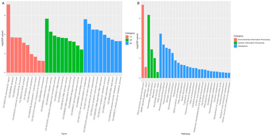 The Combined Analysis of the Transcriptome and Metabolome Revealed the ...