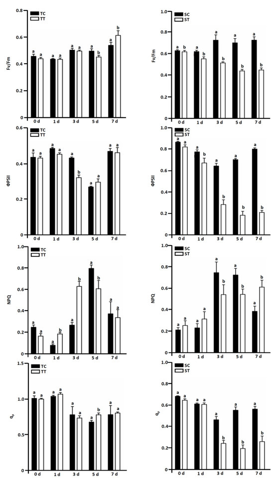 Mechanisms Underlying the Differential Sensitivity to Mesotrione in ...