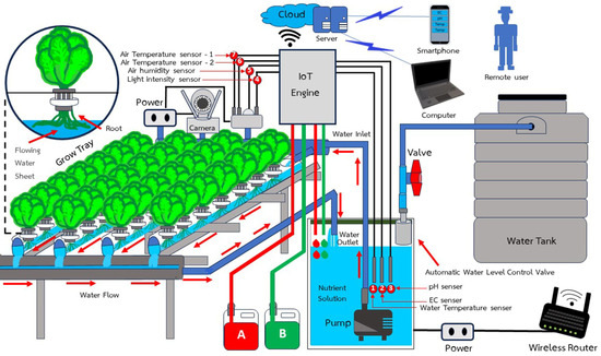 Enhancing Chinese Cabbage Production and Quality through IoT-Based ...