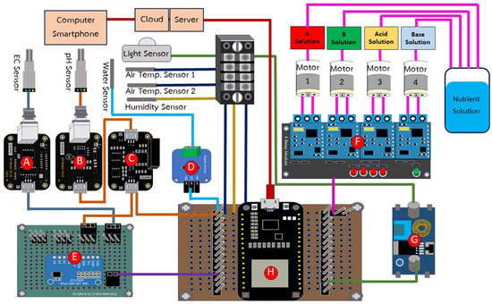 Enhancing Chinese Cabbage Production and Quality through IoT-Based ...