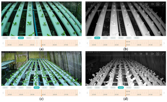 Enhancing Chinese Cabbage Production and Quality through IoT-Based ...