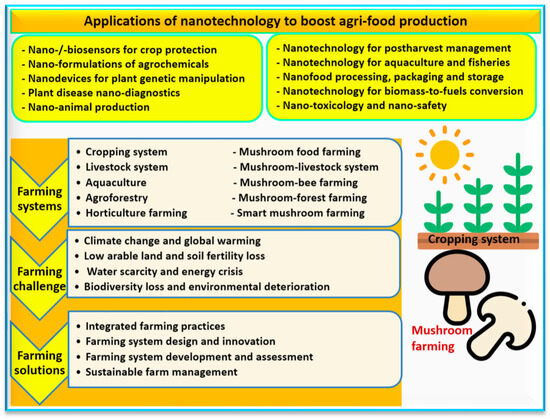 Nano-Food Farming: Toward Sustainable Applications of Proteins ...