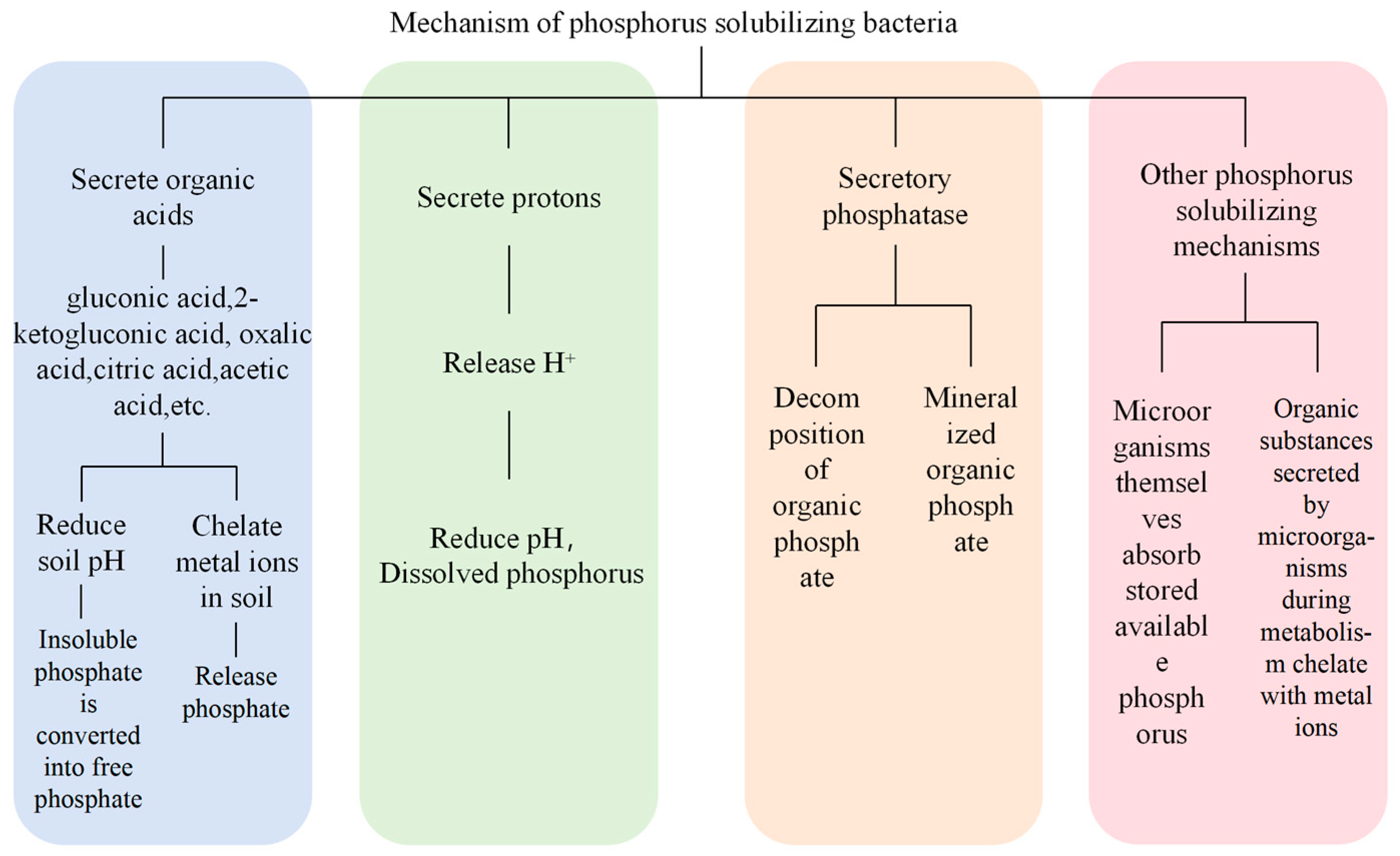 Enhancing Soil Health and Plant Growth through Microbial Fertilizers ...