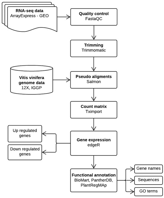 Transcriptome Data Analysis Applied to Grapevine Growth Stage ...