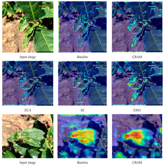 TeaViTNet: Tea Disease and Pest Detection Model Based on Fused ...