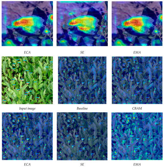 TeaViTNet: Tea Disease and Pest Detection Model Based on Fused ...