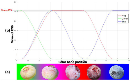 YOLO-BLBE: A Novel Model for Identifying Blueberry Fruits with Different Maturities Using the I ...