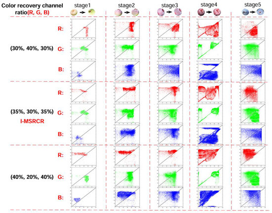 YOLO-BLBE: A Novel Model for Identifying Blueberry Fruits with Different Maturities Using the I ...
