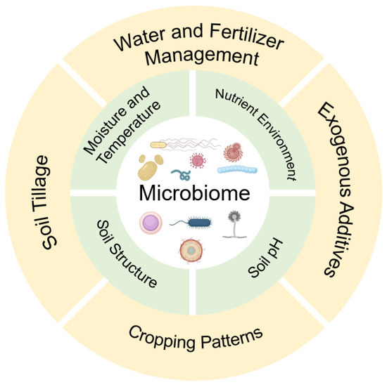 Soil Microorganisms in Agricultural Fields and Agronomic Regulation ...