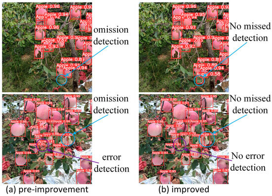 Agronomy | Free Full-Text | Detection of Orchard Apples Using Improved YOLOv5s-GBR Model