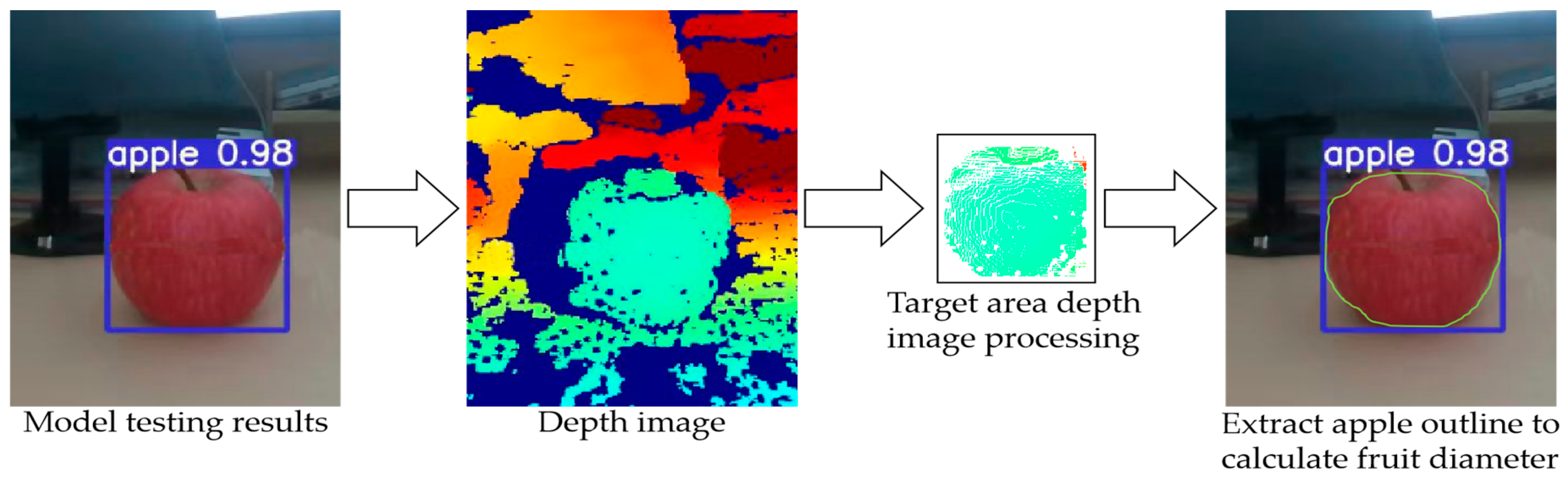 New Progress in Intelligent Picking: Online Detection of Apple Maturity ...