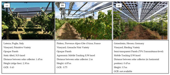Fruit Crop Species with Agrivoltaic Systems: A Critical Review