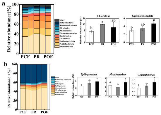 Organic Fertilizer with High Nutrient Levels Affected Peanut-Growing ...