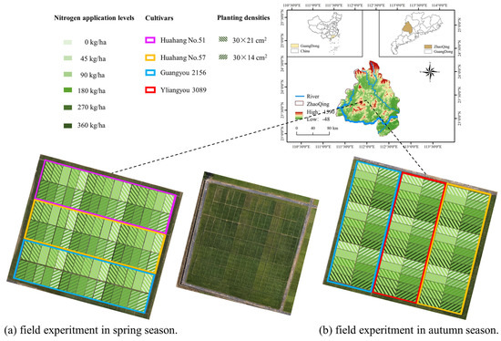 RICE-YOLO: In-Field Rice Spike Detection Based on Improved YOLOv5 and ...
