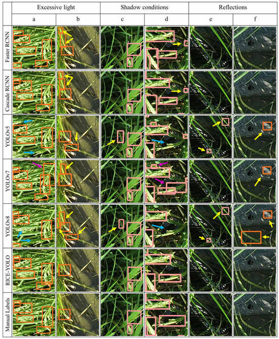 RICE-YOLO: In-Field Rice Spike Detection Based on Improved YOLOv5 and ...
