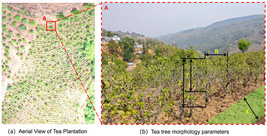 Assisted Tea Leaf Picking: The Design and Simulation of a 6-DOF Stewart ...