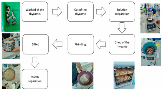 Starch Extraction Methods in Tubers and Roots: A Systematic Review