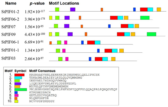 Genome-Wide Identification of Phytochrome-Interacting Factor (PIF) Gene Family in Potatoes and ...
