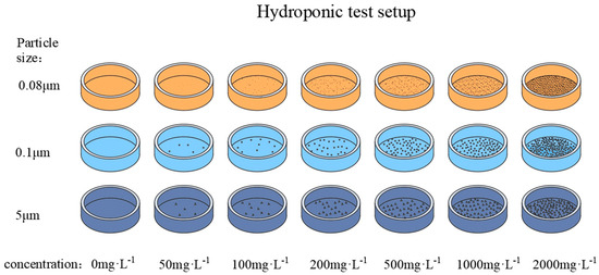 The Impact of Microplastic Concentration and Particle Size on the ...