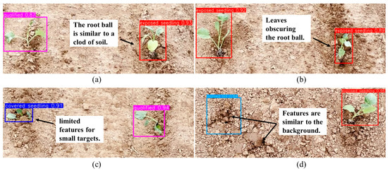 Agronomy | Free Full-Text | Seedling-YOLO: High-Efficiency Target Detection Algorithm for Field ...